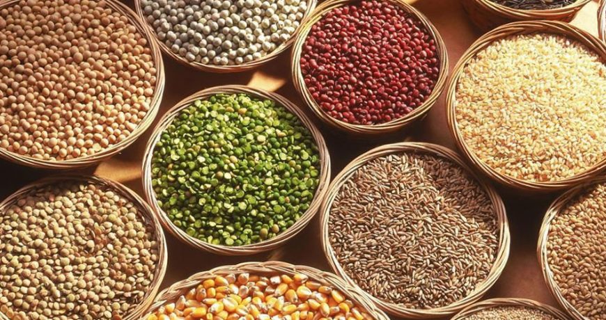 Top Manufacturer and Supplier of Agro Products in Africa